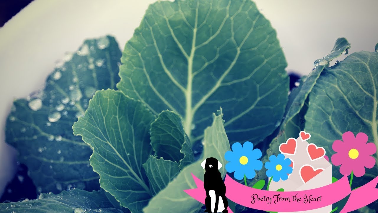 Promise Acrostic 2 - YouTube