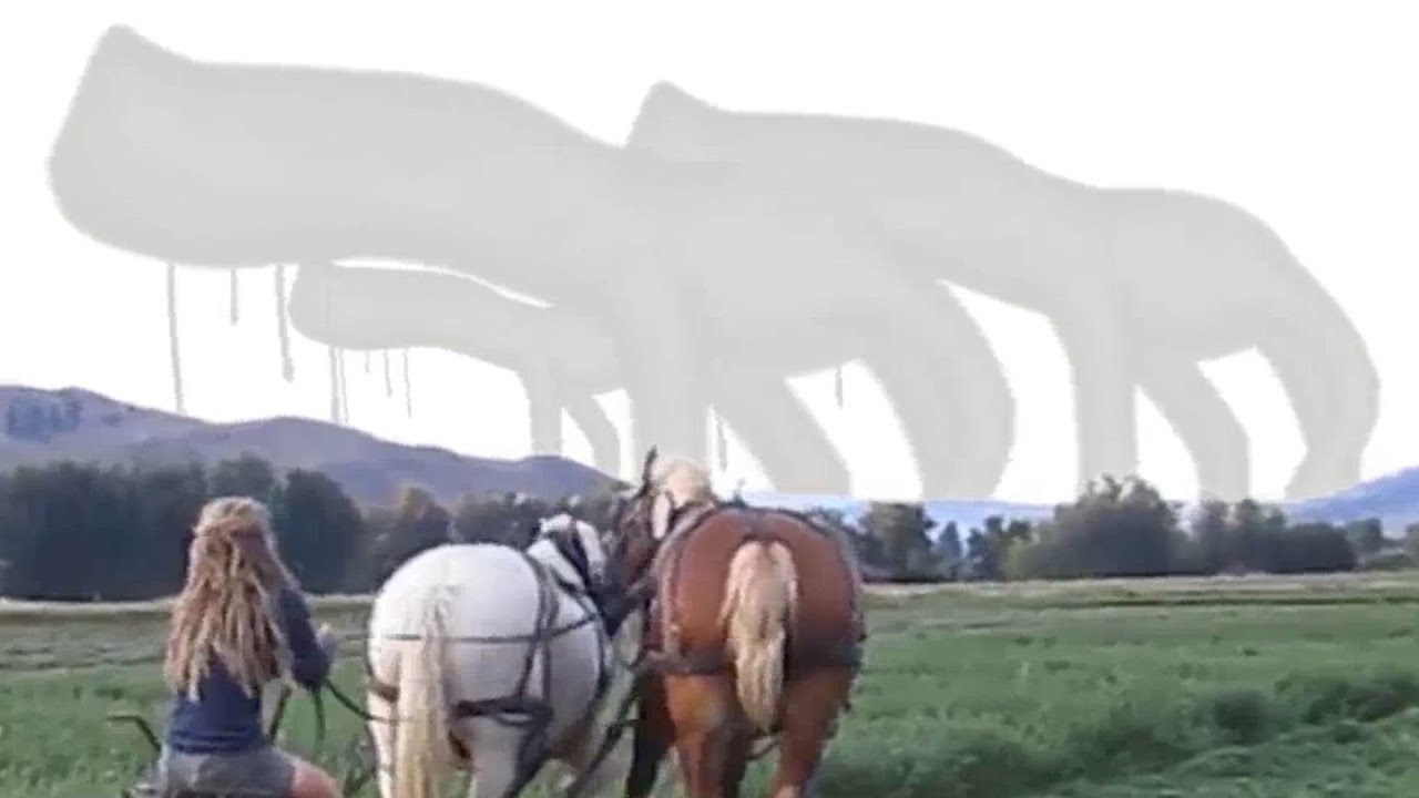 Day 17 family Creature sighting in Ukraine - Trevor Henderson monster ...