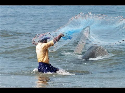 Catching Fish in Big Waves Net Fishing - Kadal Tv - YouTube
