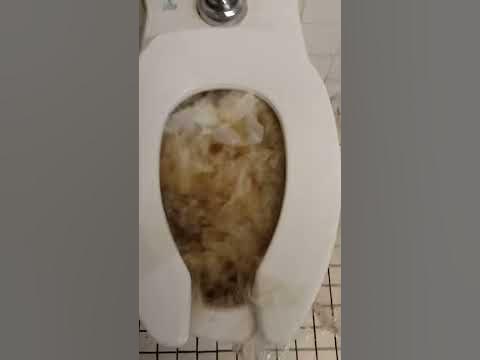 Flushing a clogged school toilet - YouTube
