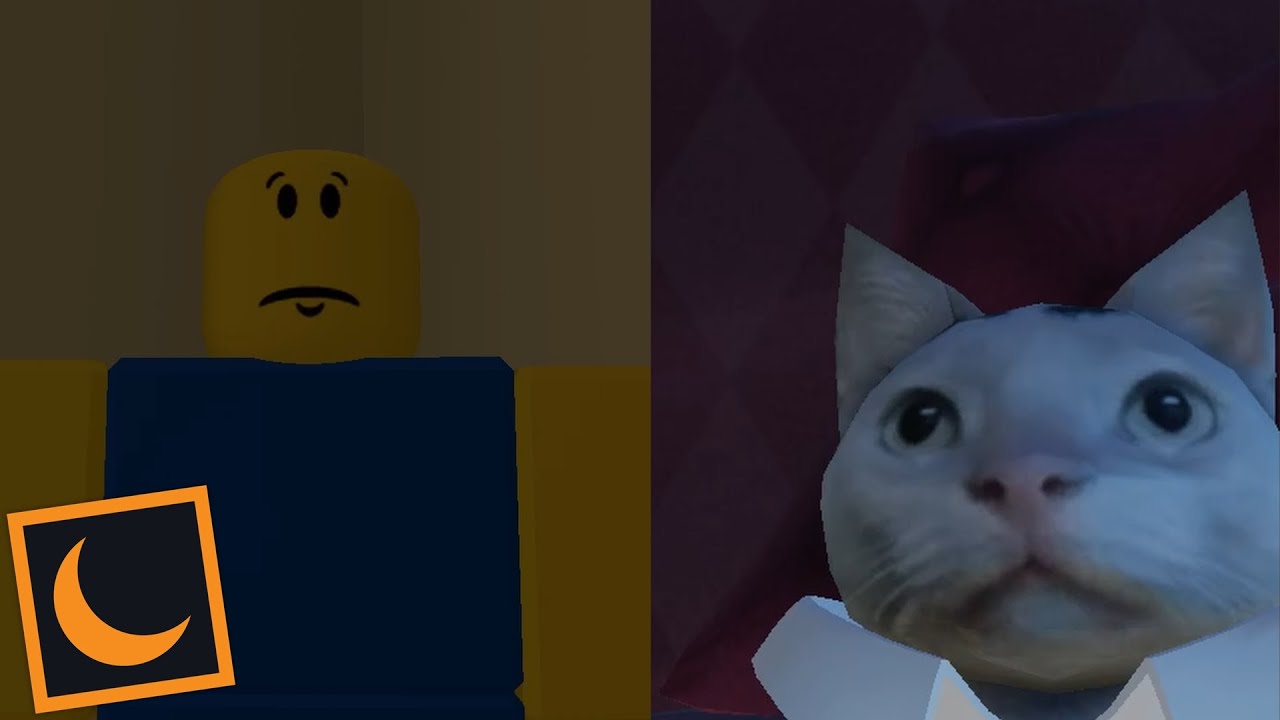 My Cat Ronald meme in Roblox - YouTube
