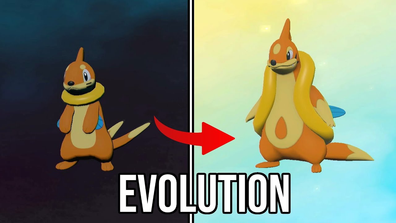 Buizel | Floatzel | Evolution in Pokemon Legends: Arceus | PLA - YouTube