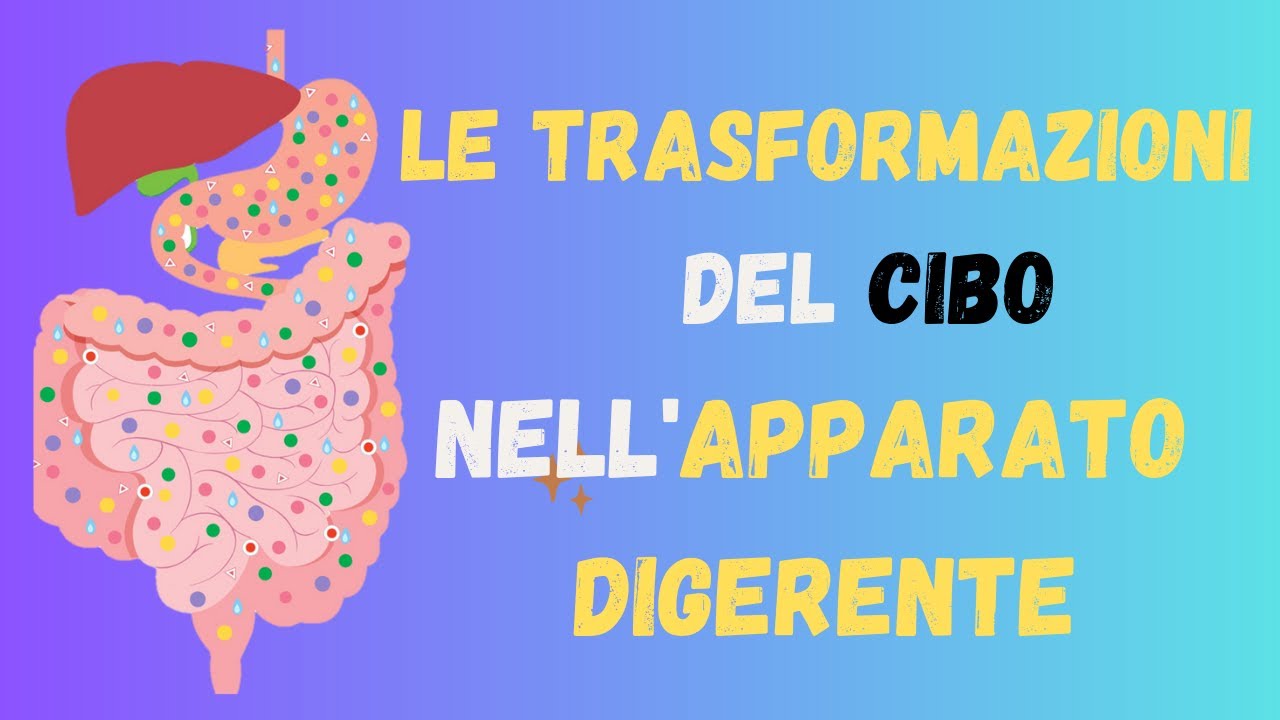 il viaggio del cibo in minuti spiegato ai bambini🥗Le trasformazioni del ...