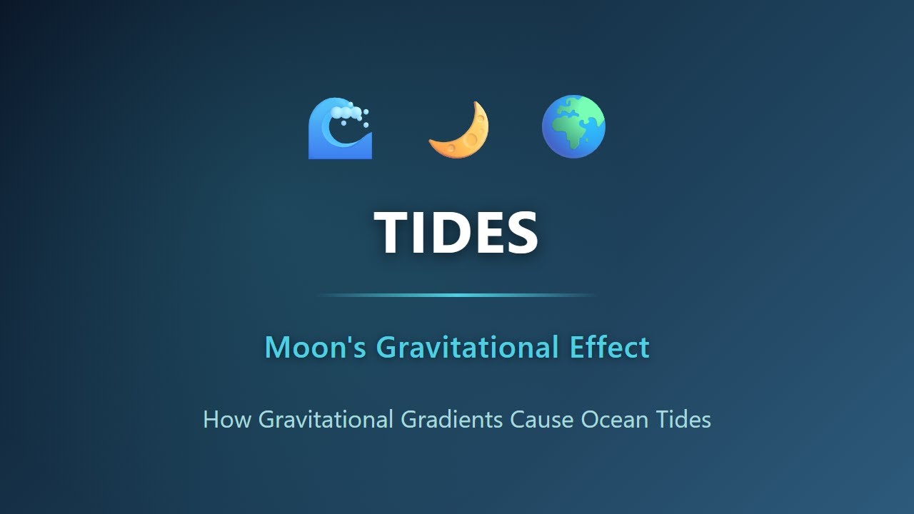 Tides Explained: How Moon's Gravity Creates Ocean Tides | Gravitation ...