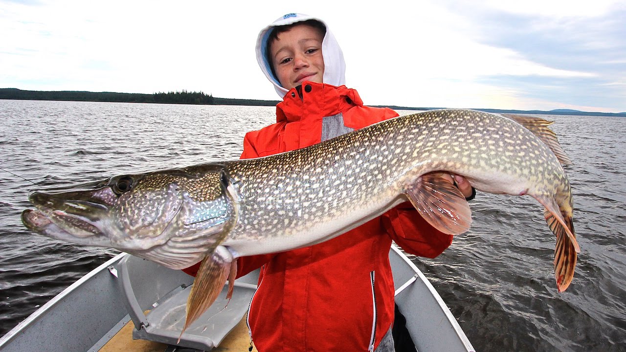 GIANT LAC EVANS PIKE - YouTube