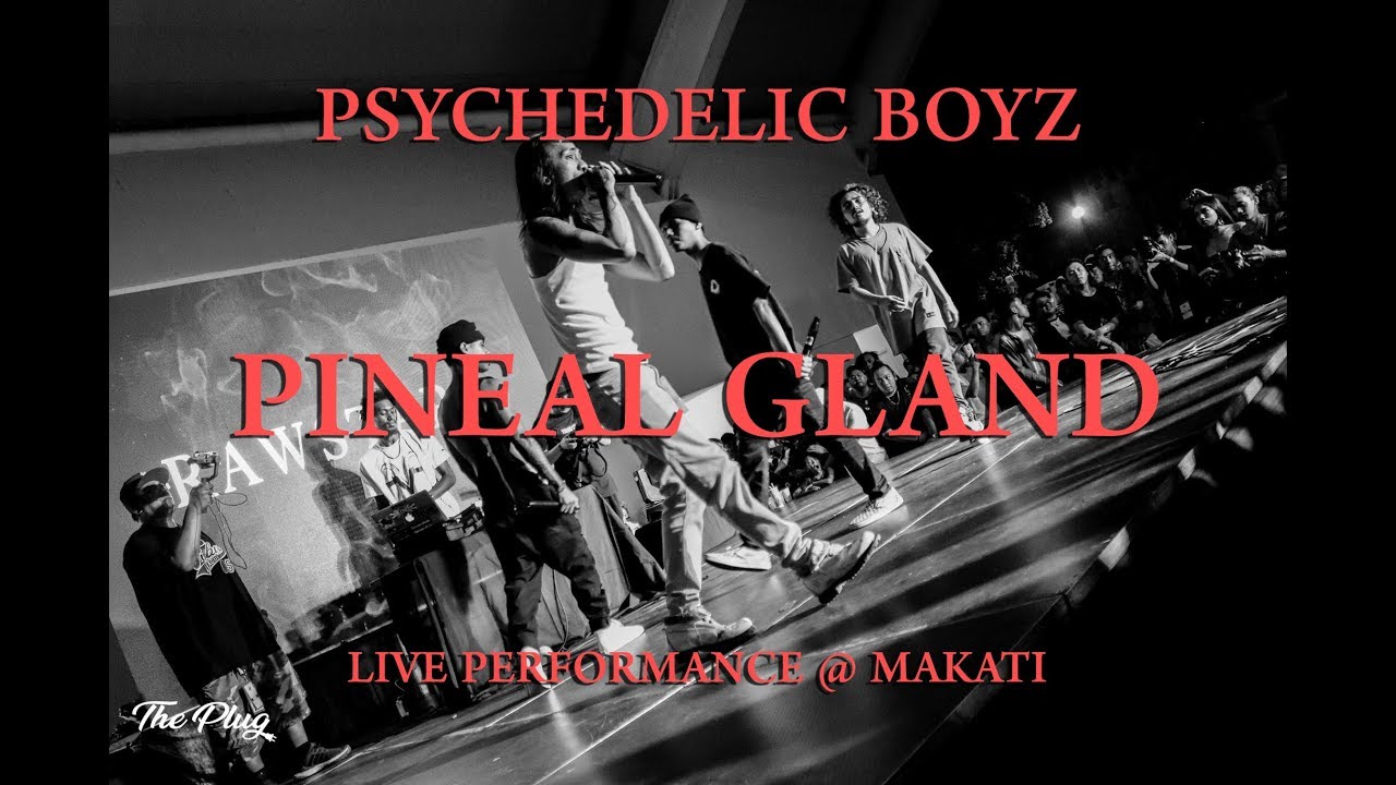 PSYCHEDELIC BOYZ - PINEAL GLAND (LIVE PERFORMANCE @ MAKATI) - YouTube