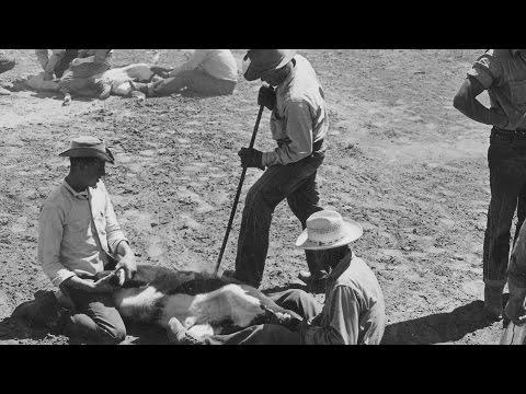 History of Branding: Irons in the Fire