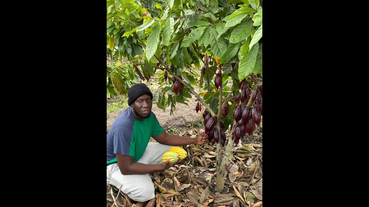 Mungu Asifiwe Farms 2024 - YouTube