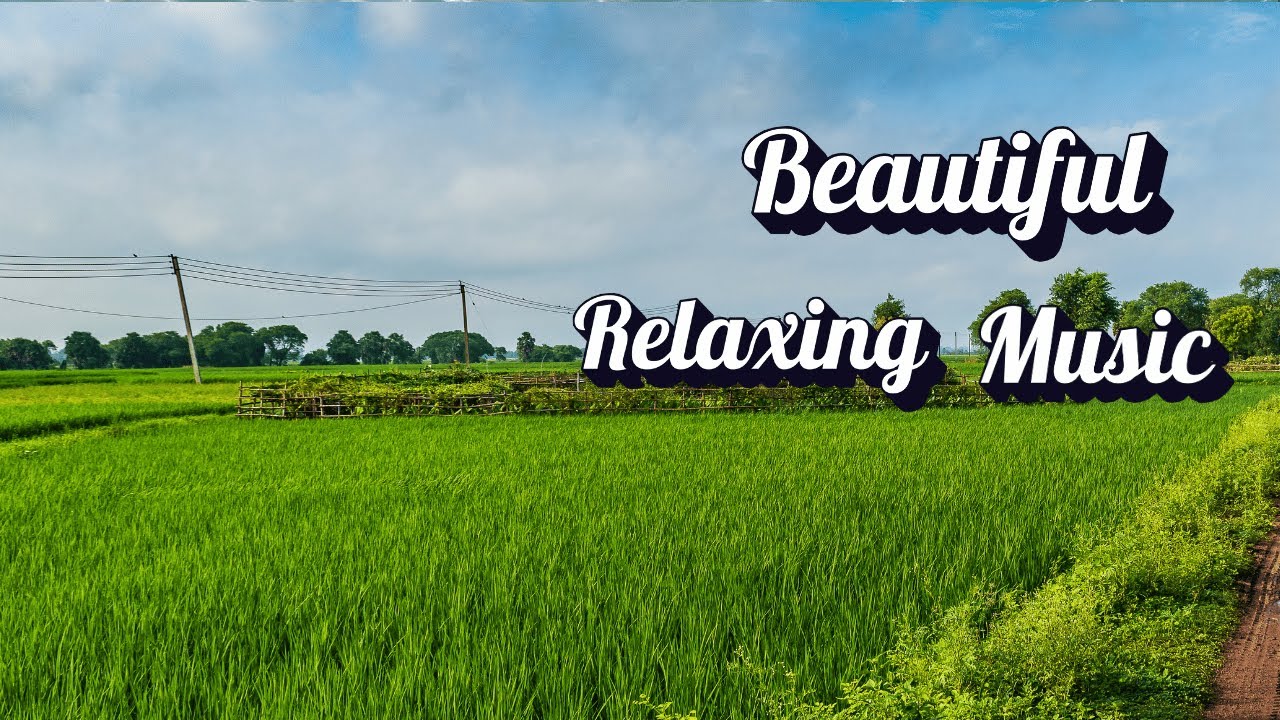 Deep Sleep Relaxing Ambient Music | Chill vibes Instrument | Meditation ...