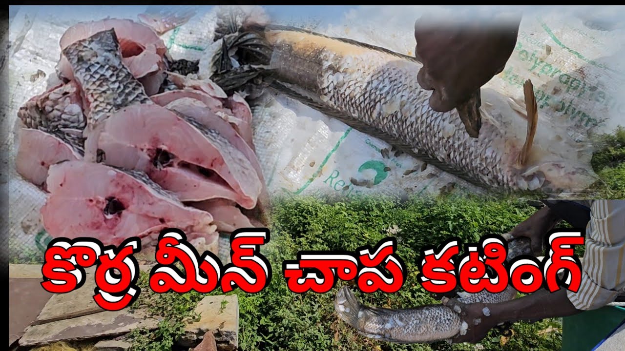 korameen fish cutting//కొర్ర మీన్ చేప కటింగ్//street food hawa - YouTube