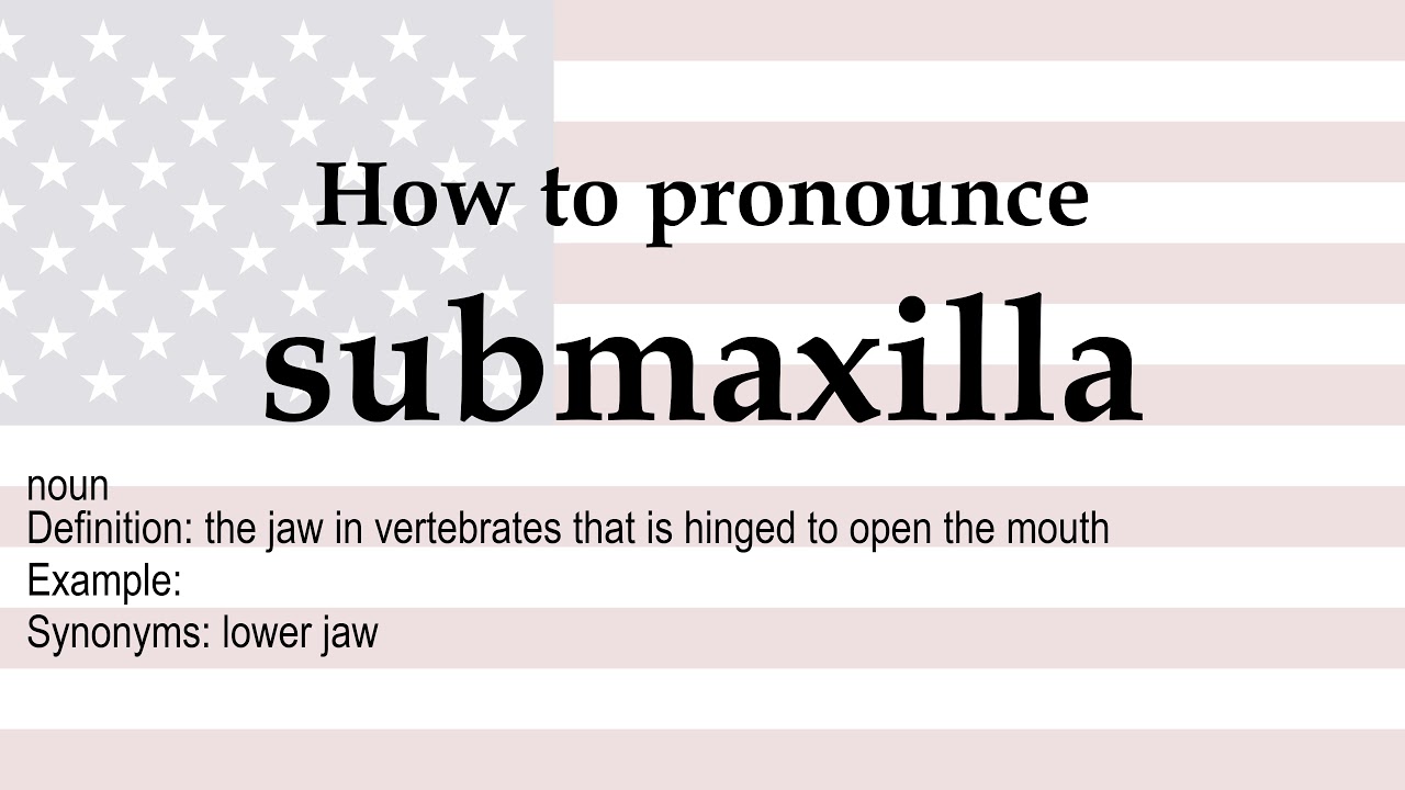 How to pronounce 'submaxilla' + meaning - YouTube