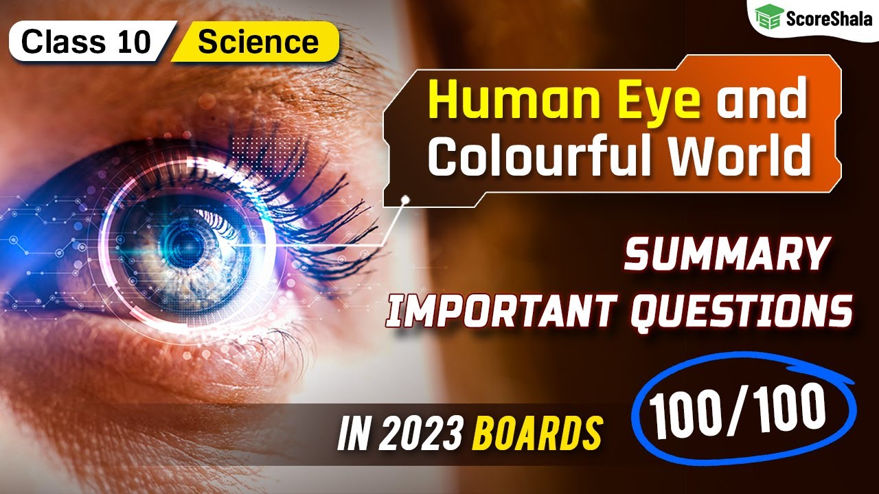 Human Eye and Colourful World (Summary + Important Question) Class 10 ...