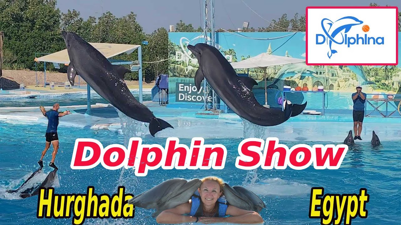 Dolphina Park - Hurghada Egypt(en)/Egyiptom) Dolphin/Delphin/Delfin ...