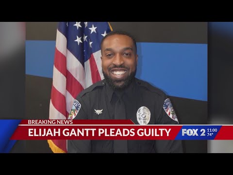 Man pleads guilty to assaulting Ferguson police officer