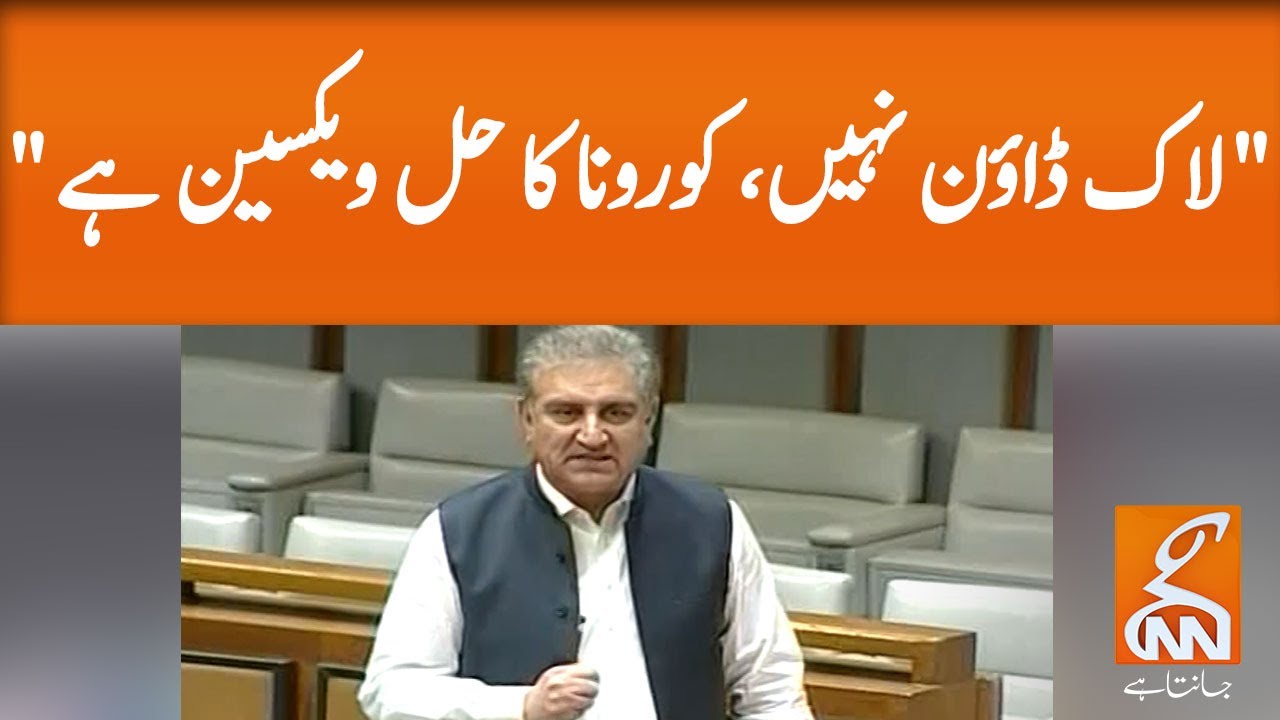 Foreign minister Shah Mehmood Qureshi's Speech in senate session today ...