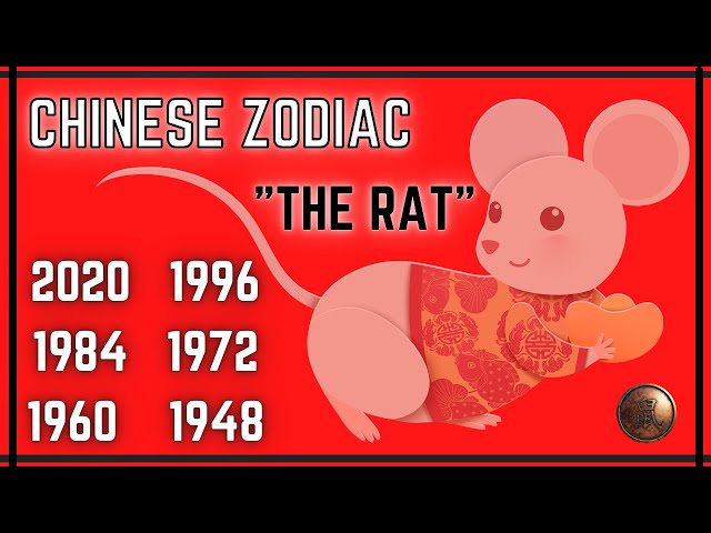 Meaning of the rat in chinese zodiac 60 photos - Astrologytoyou.com