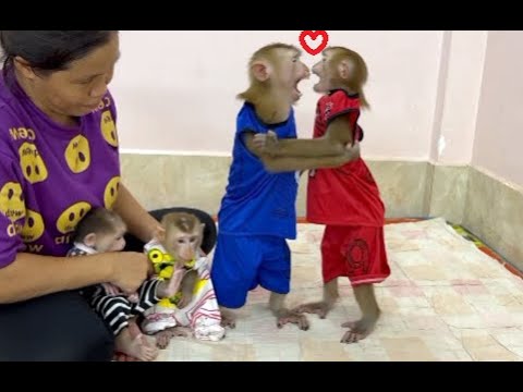 Massive Love!! Sovan & Sovanny Feel Each Other Warm K-I-S-S With Much Love & Affection, - YouTube