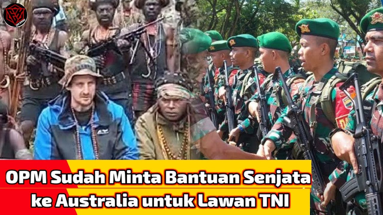 Siap-Siap! TNI dan OPM Bakal Perang, OPM Sudah Minta Bantuan Senjata ke ...