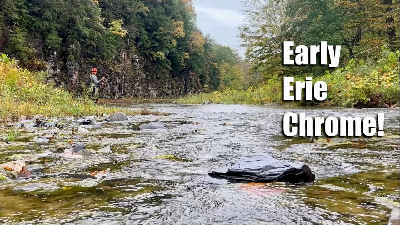 LAKE ERIE || Searching for early Steel Head. (Chrome fish) - YouTube