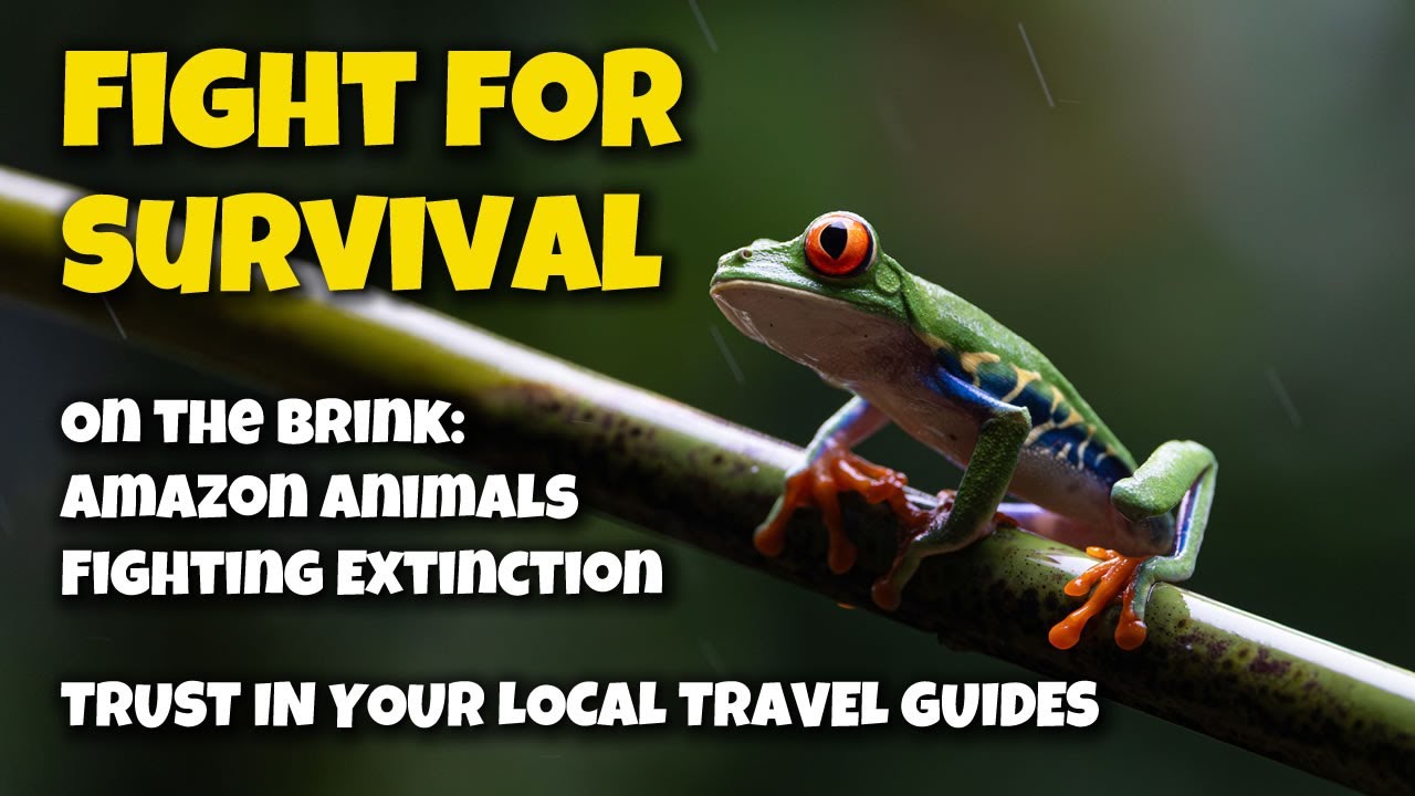 Explore the Amazon: Wildlife, Conservation & Hope 🌿🦜 | Nature ...