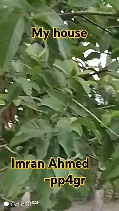 يا ايها الذين امنوا اذا نودي للصلاه Youtube