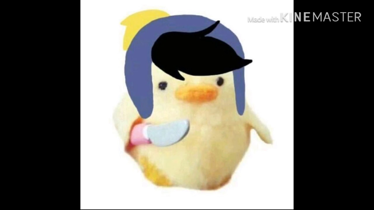 Somebody you loved | sir Duck music | - YouTube