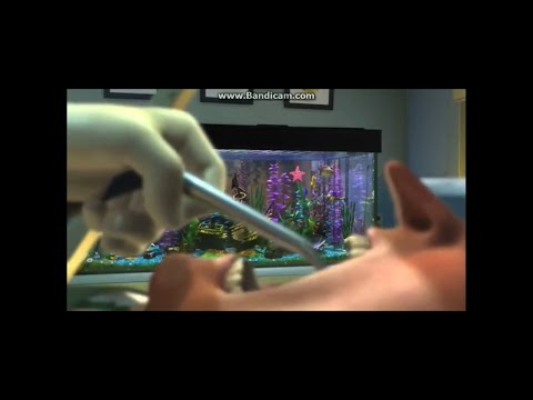Finding Nemo all dentist hilarious teeth scenes