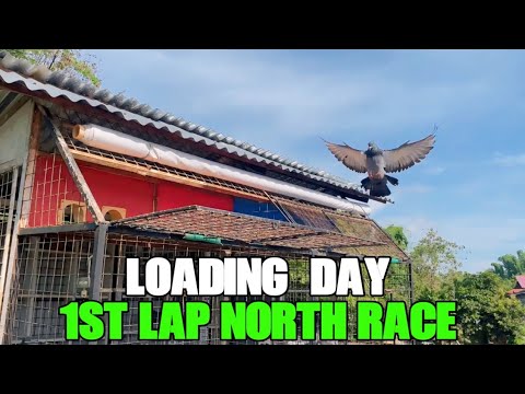 LOADING DAY 1ST LAP NORTH RACE 2ND LAP GRAND POOLING - YouTube