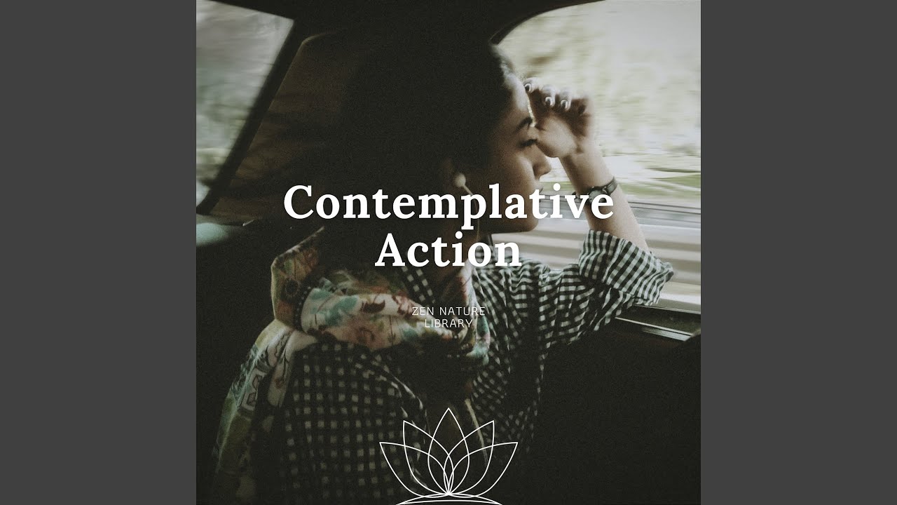 Contemplative Action (Forest) - YouTube