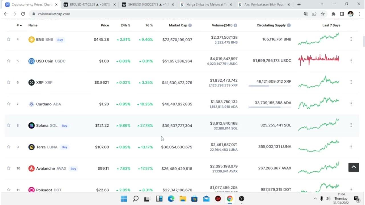 BAKAL NAIK 40000 SHIBA INU BAKAL MENUJU 10 RUPIAH TAHUN INI YouTube bakal-naik-40000-shiba-inu-bakal-menuju-10-rupiah-tahun-ini-youtube