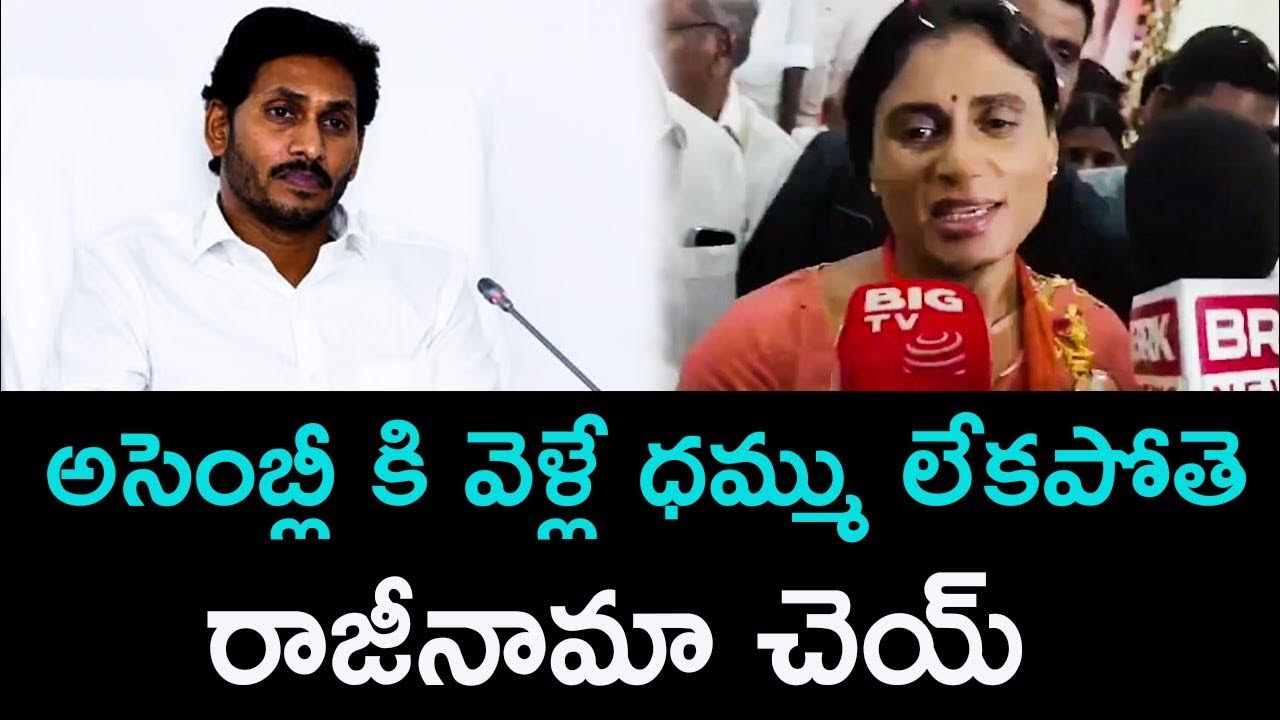 అసెంబ్లీ కి వెళ్లే ధమ్ము లేకపోతె రాజీనామా చేయ్ AP PCC YS Sharmila on YS Jagan AP News YSRCP ...