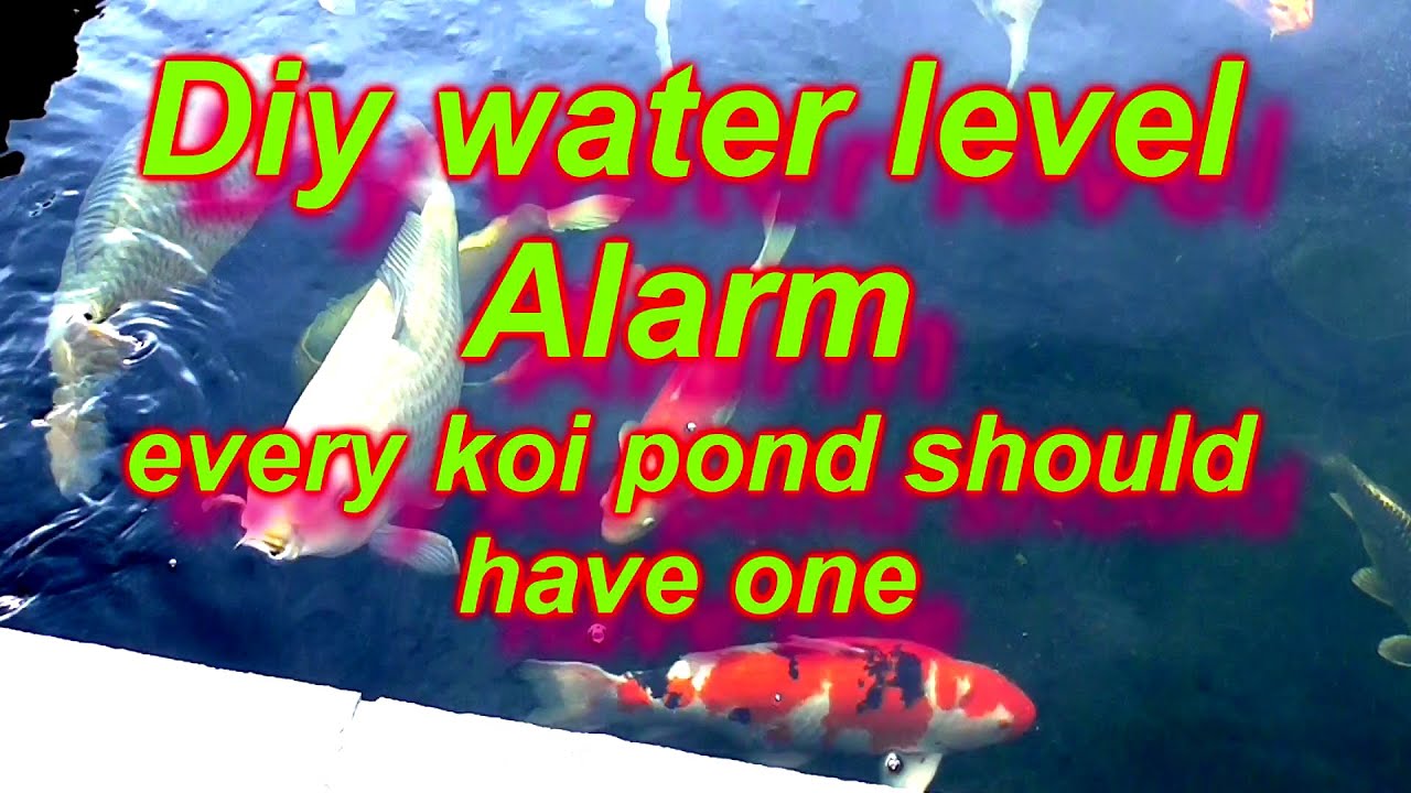 KOI POND WATER LEVEL ALARM *** DIY KOI POND BUILDING AND GETTING THE ...