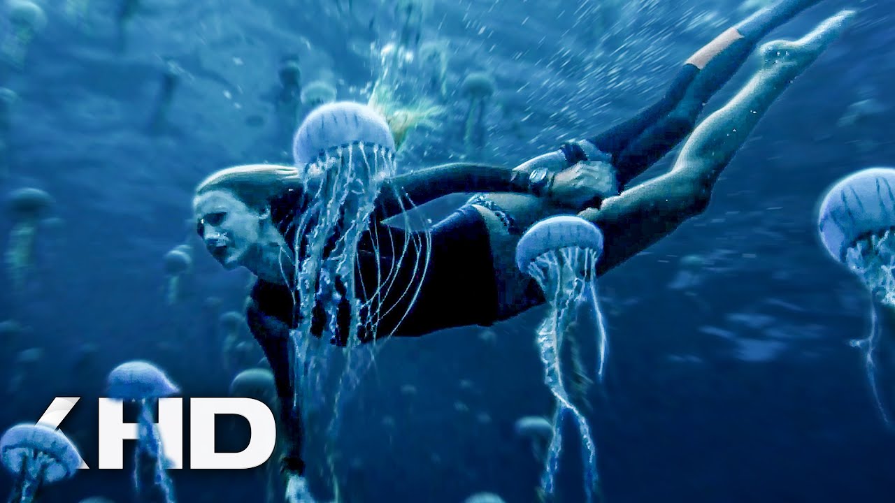 Deadly Jellyfish Dive Scene - The Shallows (2016) - YouTube