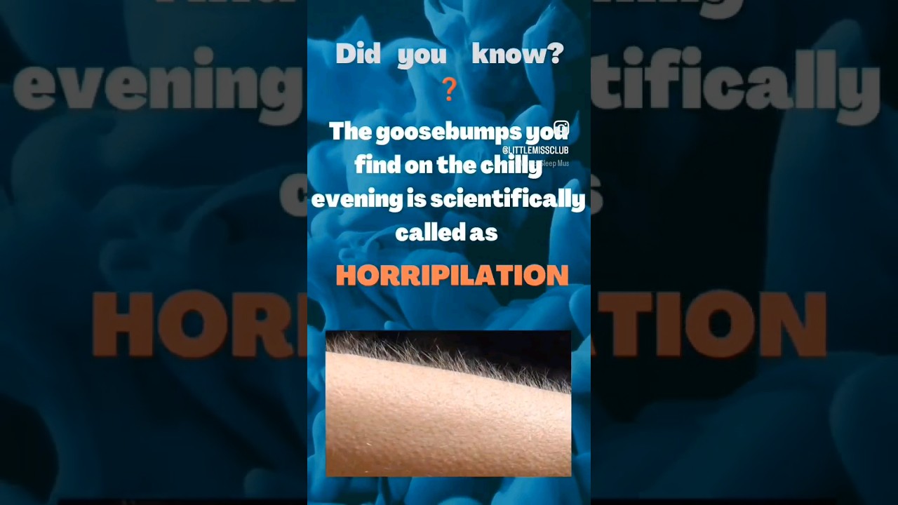DID YOU KNOW?The goosebumps you feel on the chilly evening is called as ...