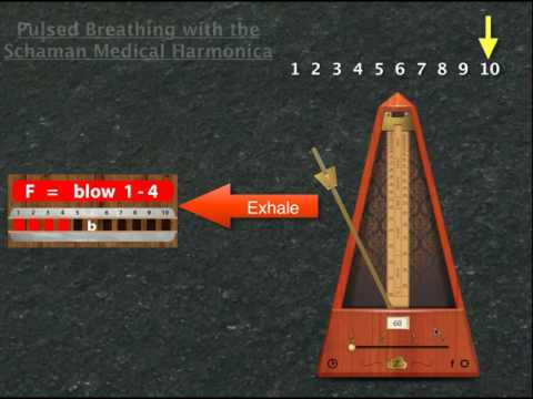 Pulsed Metronome Breathing (Exercise Only) - YouTube