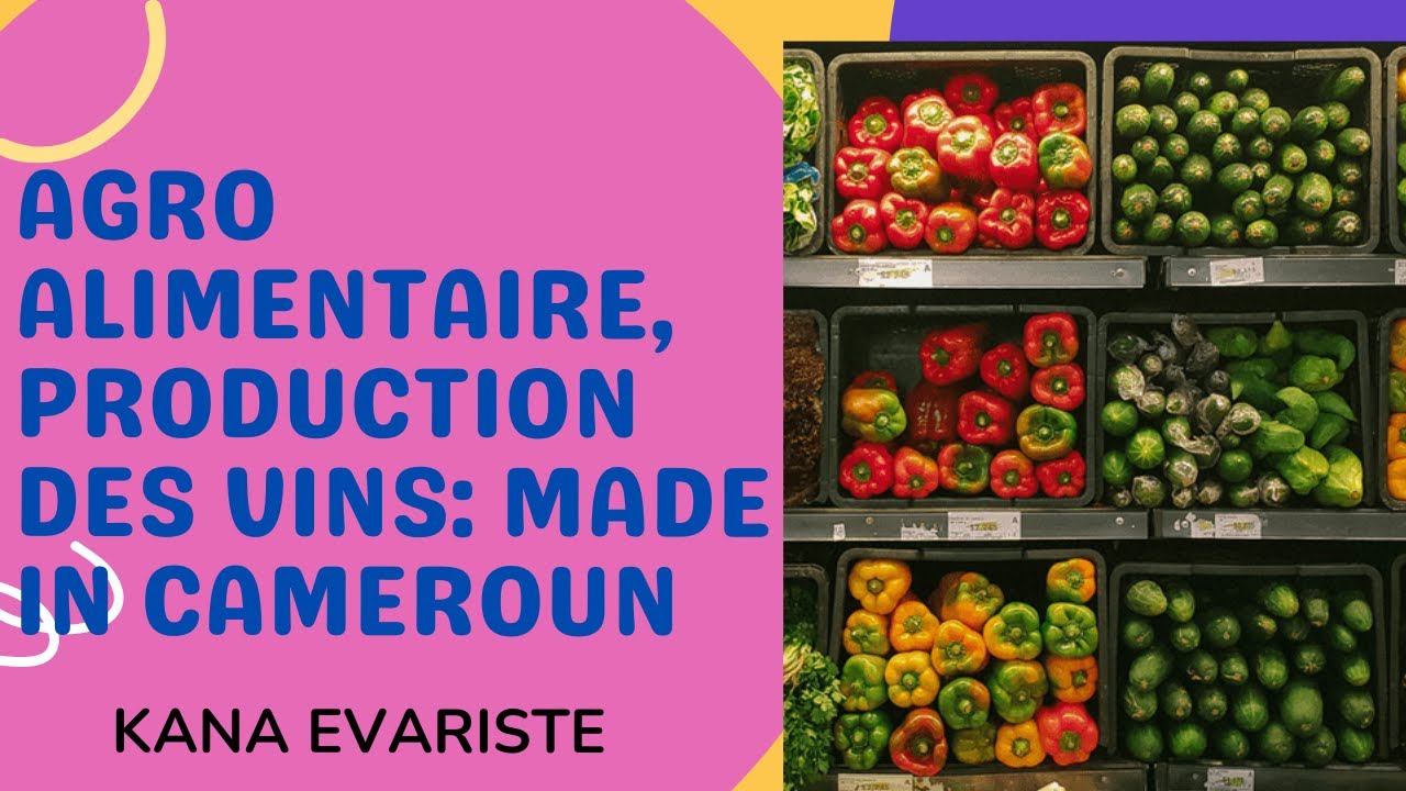 AGROALIMENTAIRE; PRODUCTION DES VINS MADE IN CAMEROUN - YouTube