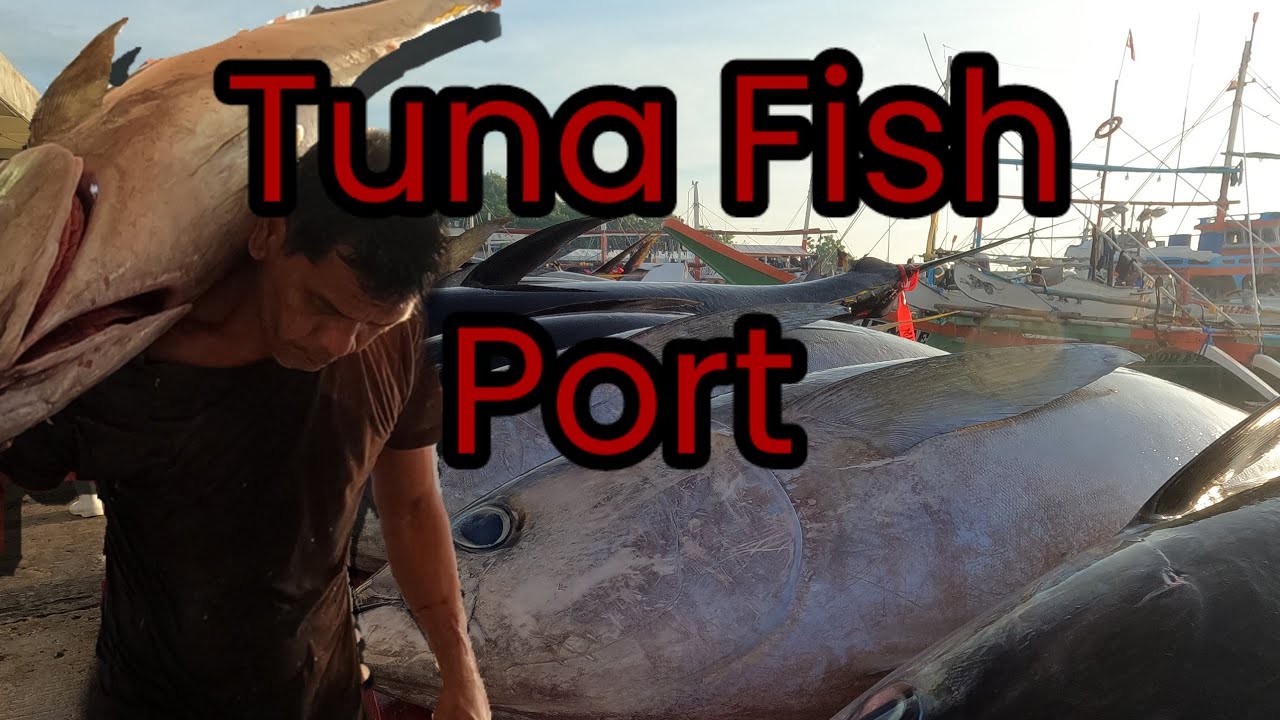 Tuna Fish Port | General Santos City Philippines | Tour Walk - YouTube
