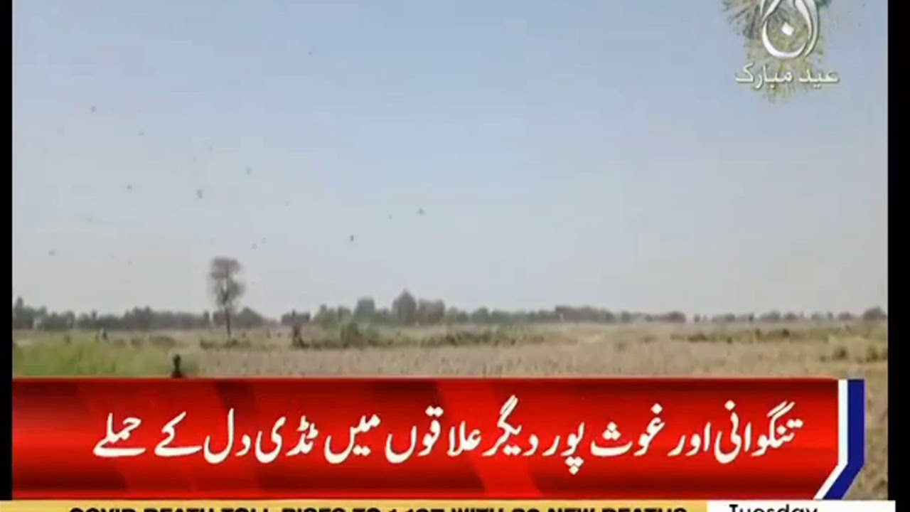 Tidi dil in kandhkot - YouTube