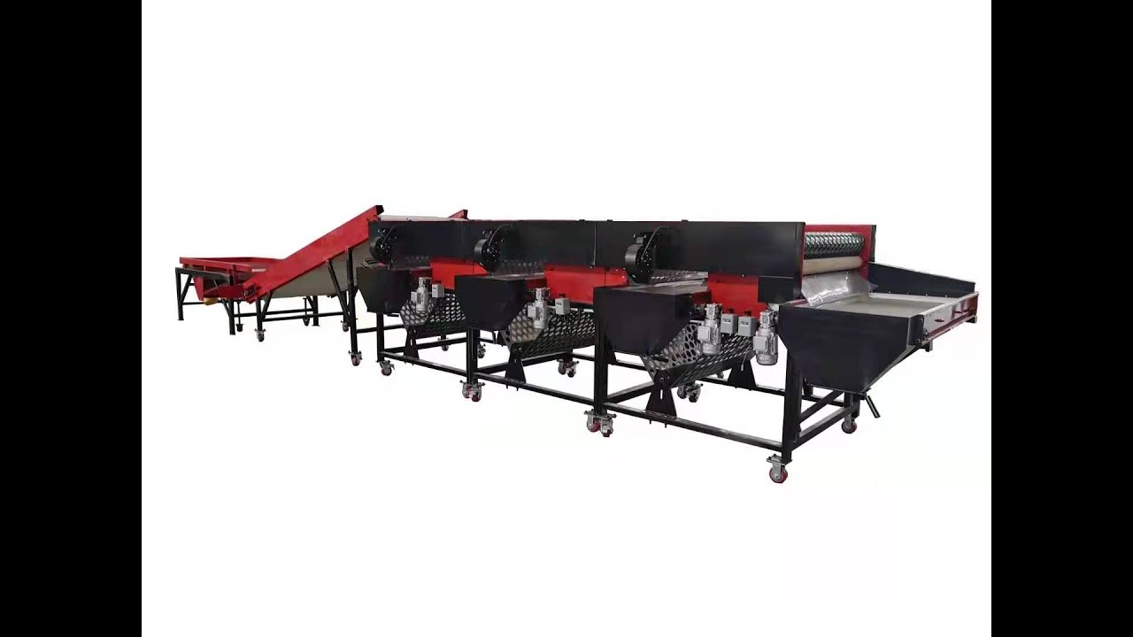 garlic onion sorting grading machine-LIZA - YouTube