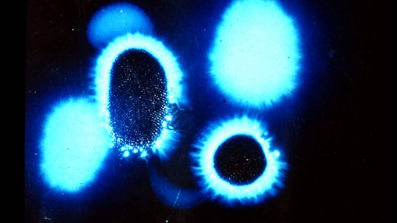 Out of Body Thought Plasma Forms - YouTube