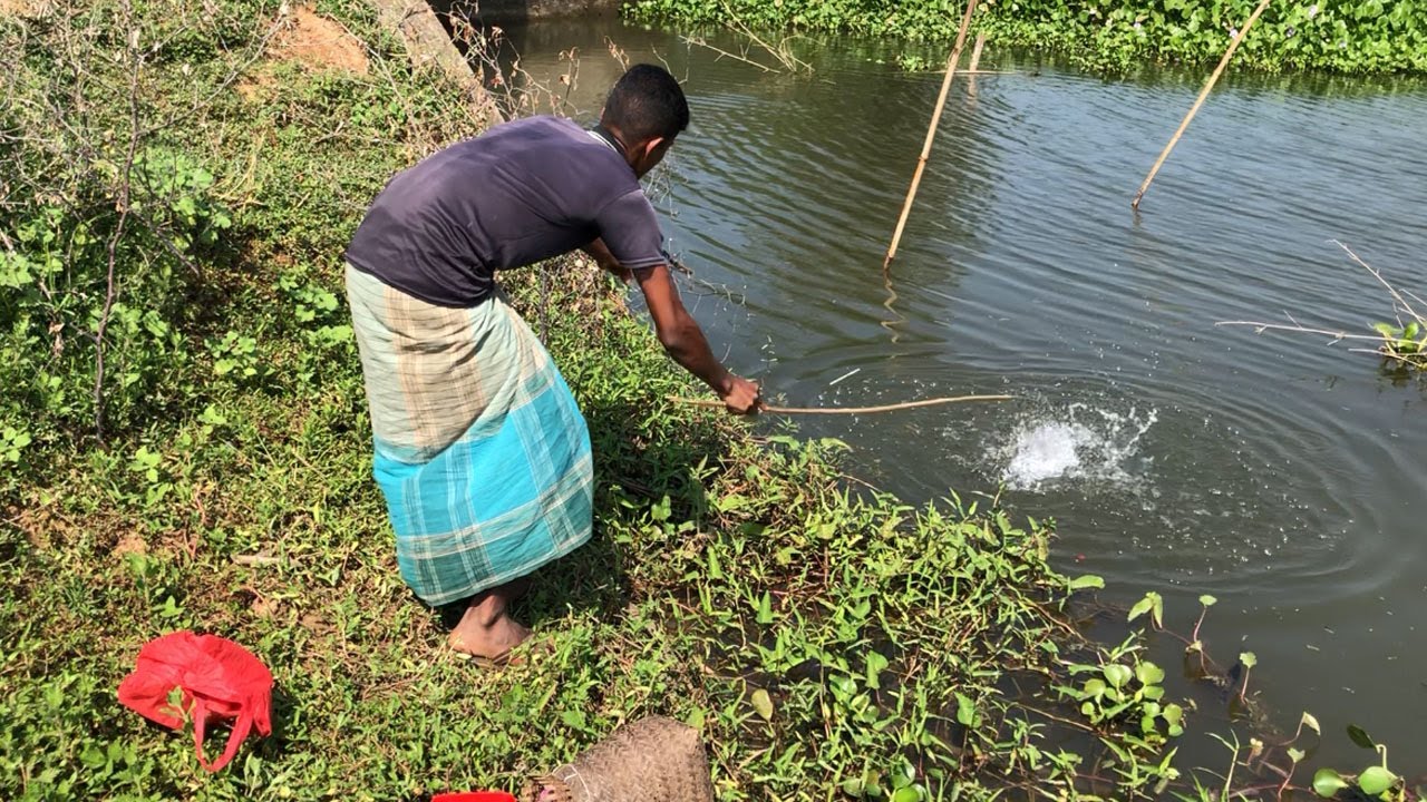 #Fishing Video || It is very nice to see the natural fishing with the ...