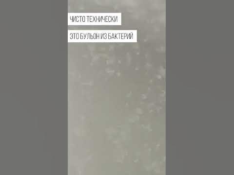 Кипячёная вода не совсем вода. И почему она мертвая - YouTube