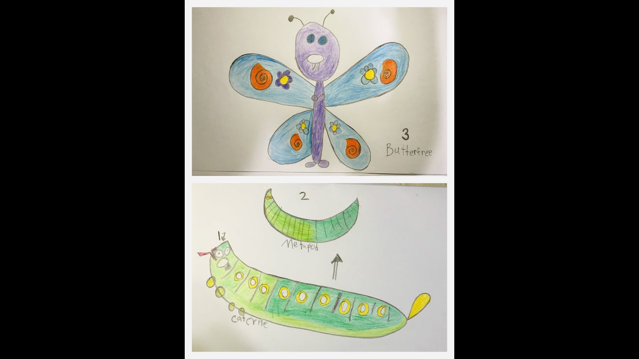 Evolution of Caterpie Pokémon - YouTube