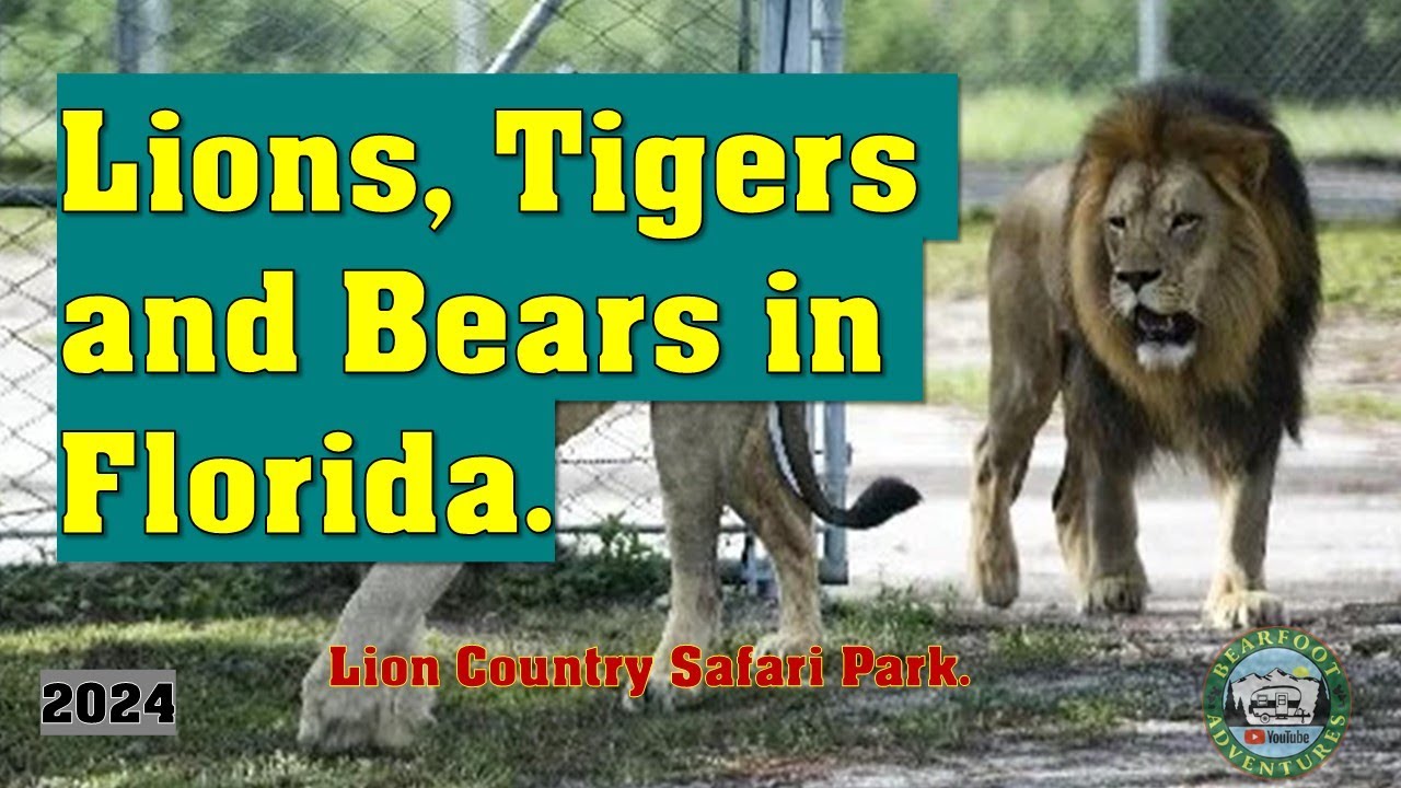 Largest Drive Thru Safari in Florida | Lion Country Safari - YouTube