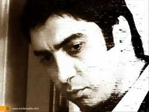 polat alemdar