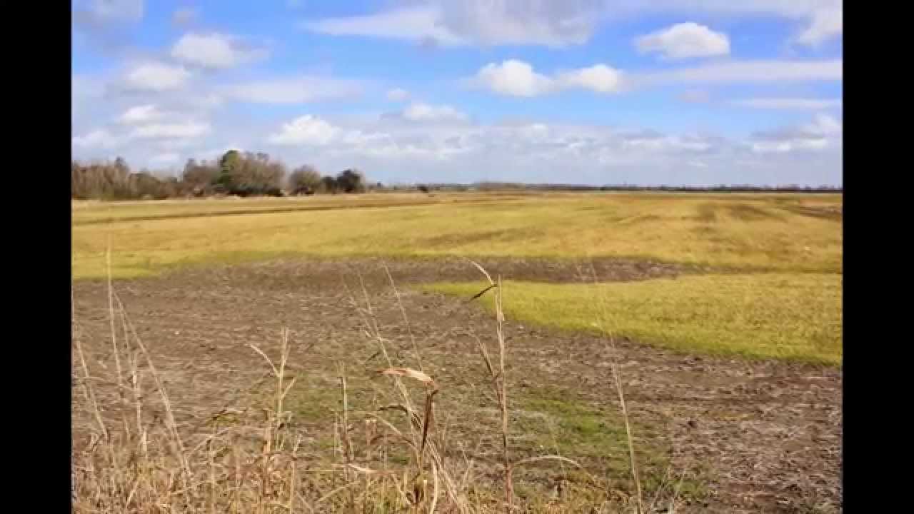Baton Rouge Photographer - Kevin Woolsey - A Day at LSU - YouTube