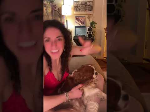 Routines Periscope 🩷playing with a dogplaying with a dog #periscope #live #livestream