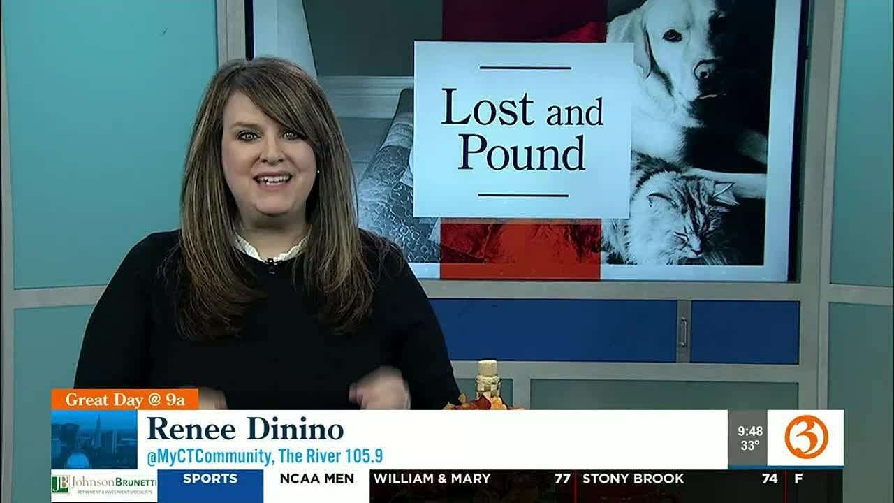 LOST & POUND: Daisy, Maple, Xena - YouTube
