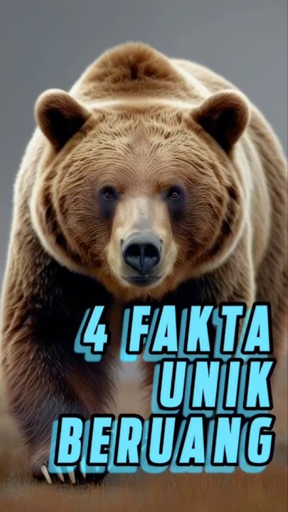 Fakta beruang #faktamenarik #faktaunik #facts - YouTube