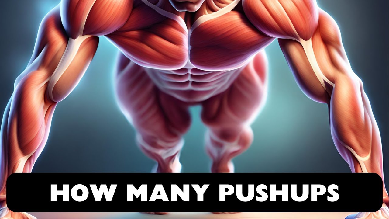How Many Push Ups A Day Will Transform Your Body - YouTube